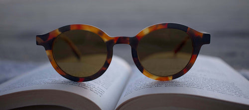 Tinted Reading Glasses & Readers | eyebobs