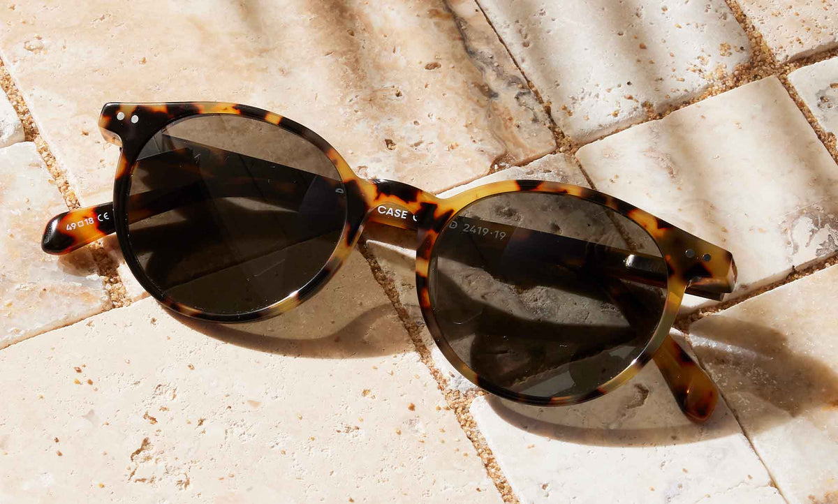 Case Closed Sunglasses | eyebobs